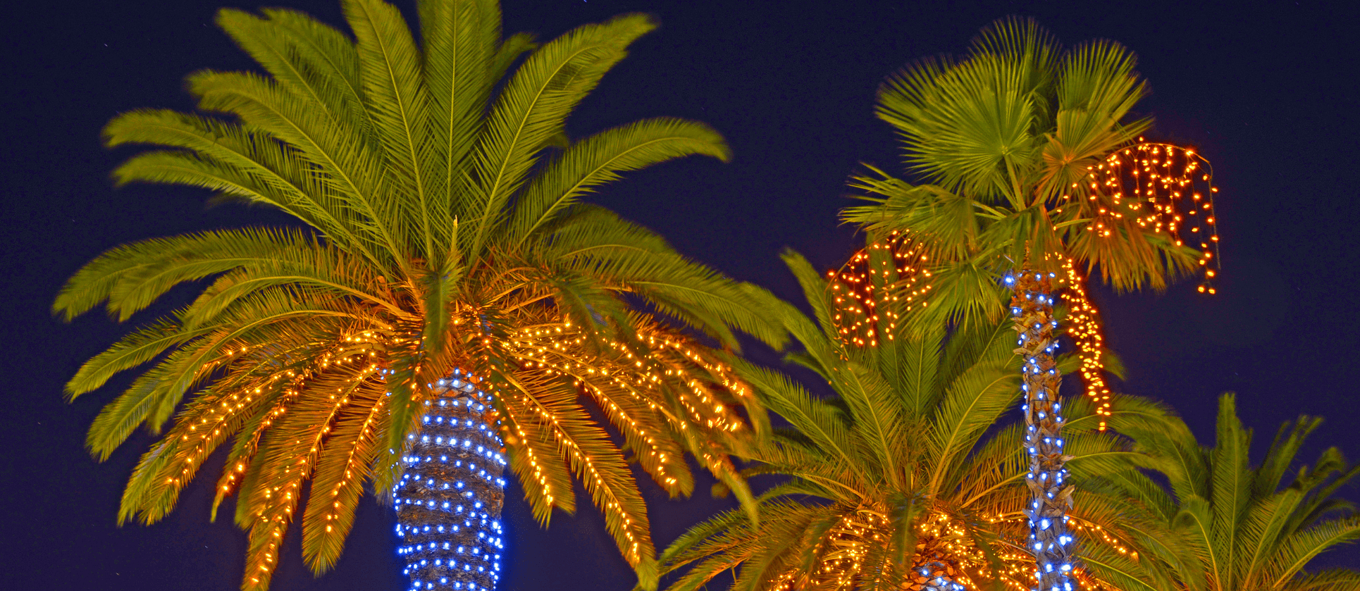 Event Program – TempleHill.org